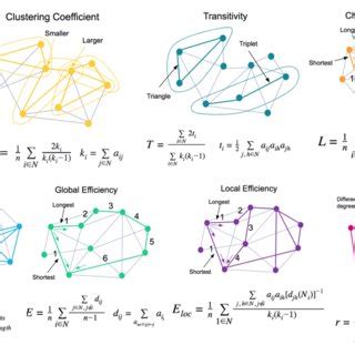 PDF How Structural Brain Network Topologies Associate With Cognitive Abilities In A Value