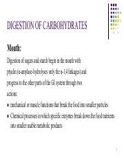 Carbohydrate Digestion Pdf DIGESTION OF CARBOHYDRATES Mouth Digestion Of Sugars And Starch