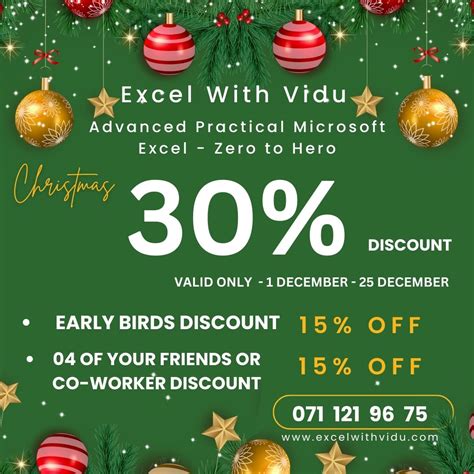 Excel With Vidu