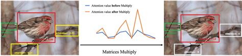 comparison of attention areas by models with or without matrices