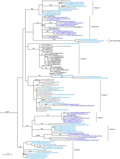 maximum likelihood tree generated from the alignment of 117 env