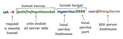 Ssh Tunnels Save The Day Again Livecycle