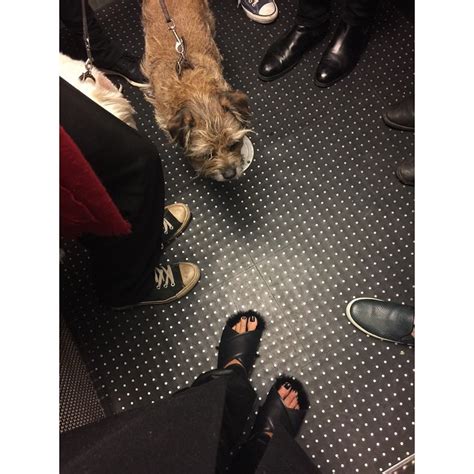 Bibi Cornejo Borthwick Feet Photos Sexy Feets Celeb Feets