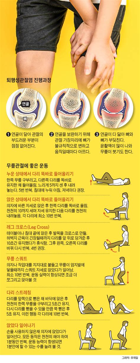 미국 운동으로 무릎 연골에 산소 영양 공급