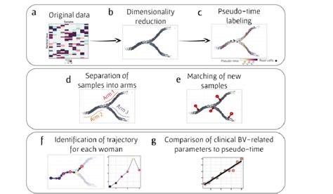 Analysis Scheme Of The Manifold Detection Framework A The Framework Download Scientific