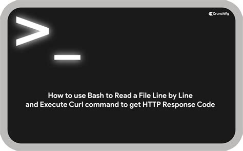 Linux And Curl How To Use Bash To Read A File Line By Line And Execute Curl Command To Get