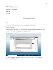 NetLab Types Of Networks Docx Rabeline Kopnguep Ngansop Instructor Prof Tom Lisa