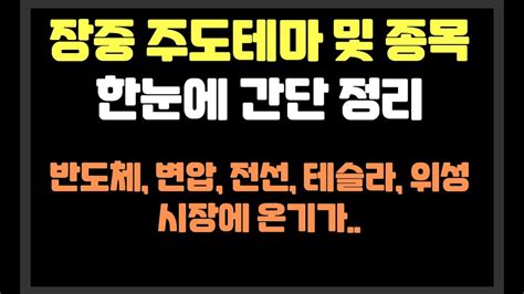 당일 장중 주도테마 및 종목 간단정리 반도체변압전선테슬라위성 와이아이케이사피엔반도체필옵틱스제룡전기플레이디와이즈버즈한미반도체sdn에코프로비엠