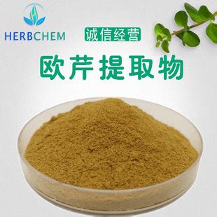 欧芹提取物101 现货供应 欧芹提取粉 欧芹浓缩粉 香芹提取物 阿里巴巴