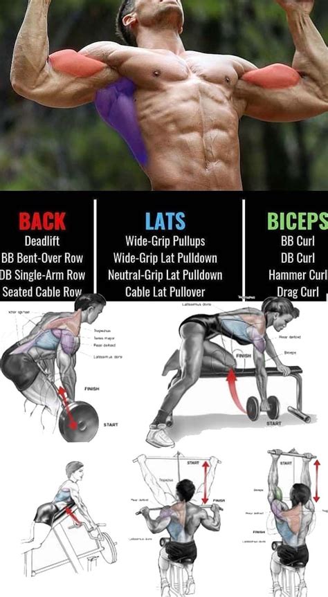 Body Weight Exercises For Back Strength