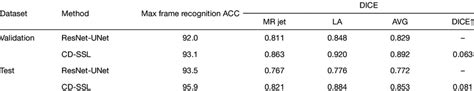 Evaluation Of The Segmentation Algorithm In Validation And Test