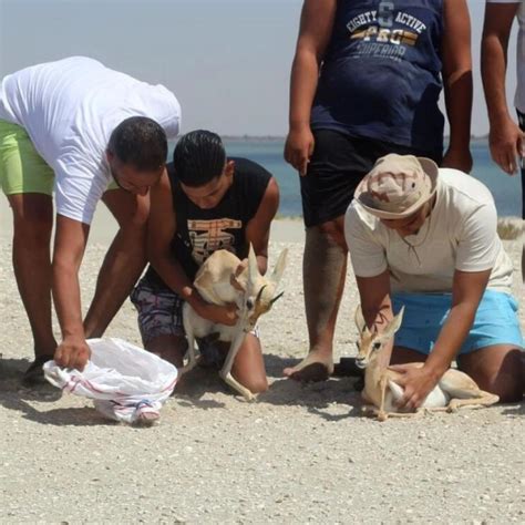 The Man Who Built Dlf Blueprints For Success