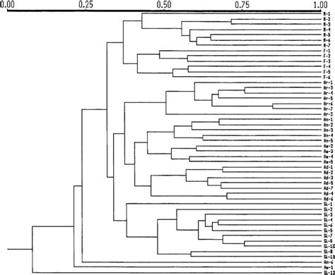 Similarity Among Considered Sites And Rivers As Expressed By Upgma Download High Quality