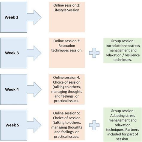PBA Implementation In PROACTIVE Download Scientific Diagram