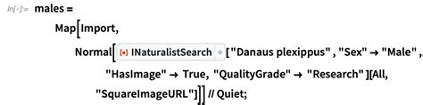 Accessing Monarch Biodiversity Data With New Wolfram Language Functions