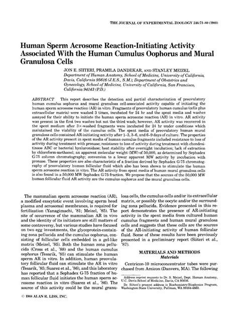 Human Sperm Acrosome Reaction Initiating Activity Associated With The