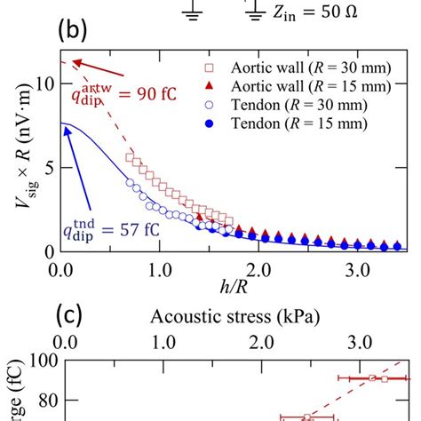 A Schematic Of The Dipole Detection Model B Signal Amplitude