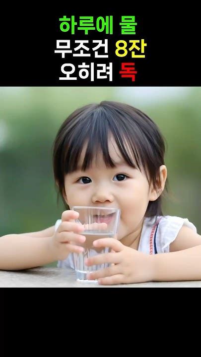 하루에 물 무조건 8잔 오히려 독 물 물8잔 잘못된상식 건강 건강관리 건강정보 건강꿀팁 Youtube