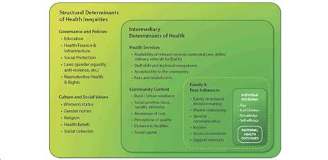 The Social Determinants Of Maternal Health Adapted From Who 2011