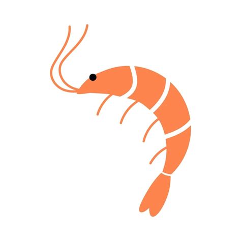 Premium Vector Shrimp Vector