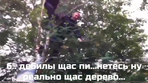Щас дерево упадёт Youtube