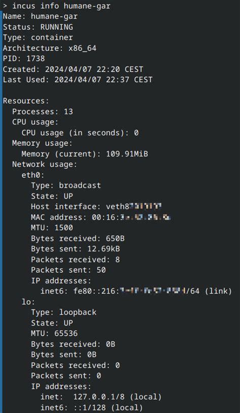 Differences In Network Setup Between Incus And Lxd Incus Linux Containers Forum