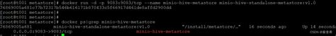 【大数据】docker部署hms Hive Metastore Service 并使用trino访问minio及hdfs Trino Spark Csdn博客