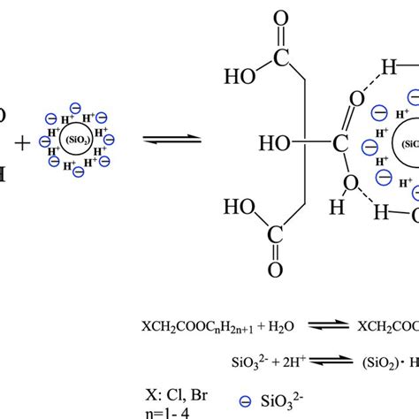 Formation Mechanism Of Nano SiO Synthesized By Complexation Download Scientific Diagram