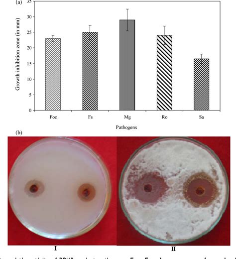 Figure 1 From Brevibacillus Laterosporus Strain Bpm3 A Potential Biocontrol Agent Isolated From