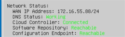 trustgrid local console utility