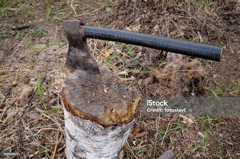 장작을 자르기 위한 나무 그루터기의 오래된 도끼 도끼 는 나무 그루터기에 쐐기 0명에 대한 스톡 사진 및 기타 이미지 0명 강철 그루터기 식물 부위 Istock