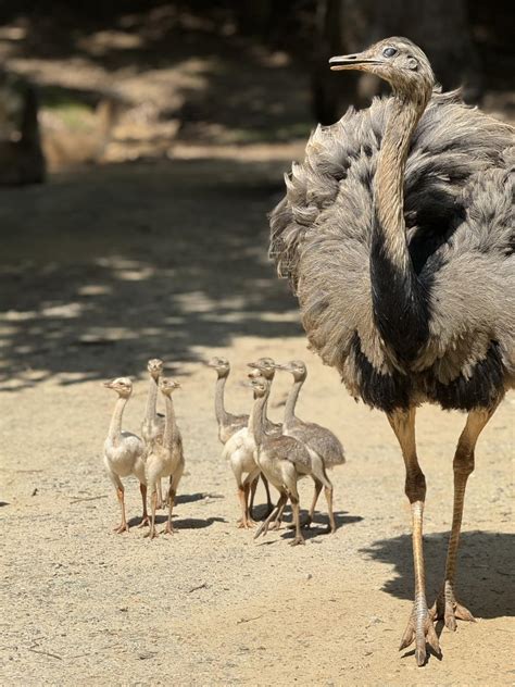 Lazy 5 Ranch Lazy 5 Ranch Added A New Photo