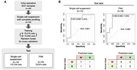 Prediction Model For Identifying Malignant Salivary Gland Tumor Sgt Download Scientific