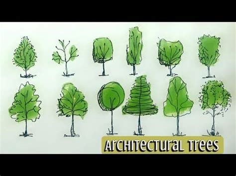 HOW TO DRAW TREES USING MARKERS Tips NEW Howtodrawtree Architecture YouTube Dibujos