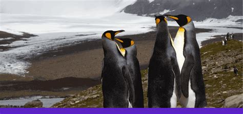 Protect Classified Information With “identity Classification” Gurucul