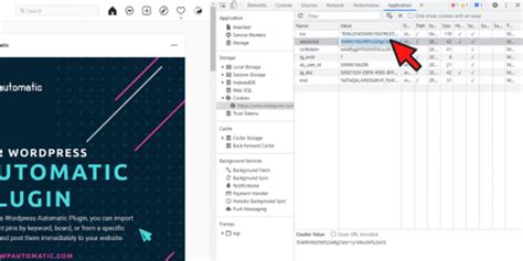 WP Automatic-How to get Instagram session ID
