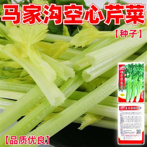 Majiagou Biji Benih Saderi Berongga Benih Saderi Sayur Sayuran Benih Sayur Sayuran Ladang Saderi