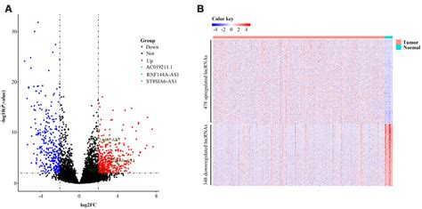 a nomogram combining long non coding rna expression profiles and