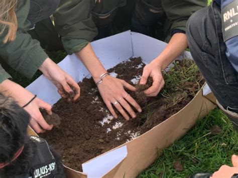 Soil Monitoring Guide Soilmentor