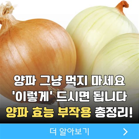 양파 효능 부작용