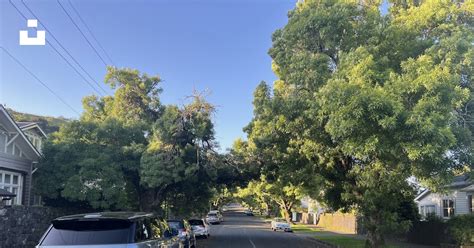 자동차가 있고 옆에 나무가있는 거리 사진 Unsplash의 무료 오클랜드 이미지