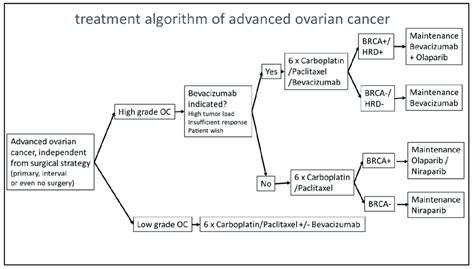 treatment algorithm for maintenance therapy of patients with advanced