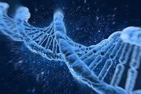 迄今最完整的人类基因组测序结果正式公布