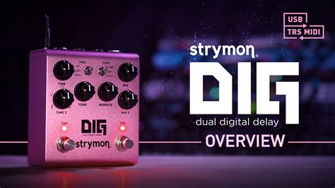 DIG V2 Dual Digital Delay Strymon