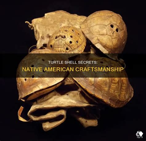 Turtle Shell Secrets Native American Craftsmanship Petshun