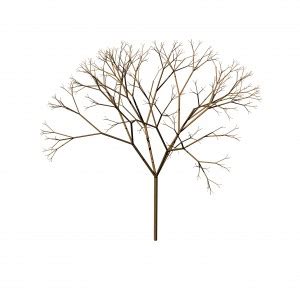 Recursively Generated Tree CAD Scripting