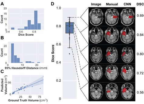 Classifier Accuracy Across The Patient Cohort A Dice Sørensen