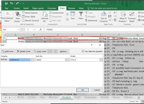 Unexpected Behavior In Excel When Sorting Physics Forums