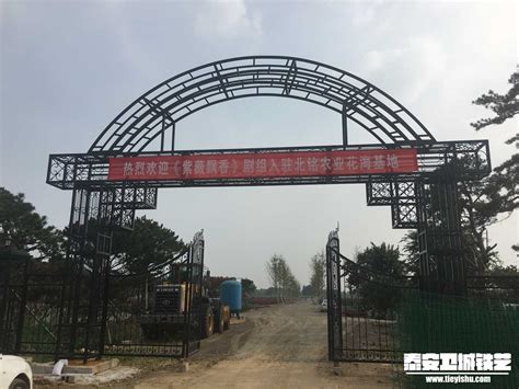 铁艺大门 庭院门 小区大门tdm1621 实景拍摄 铁艺护栏围墙样式大全产品图集