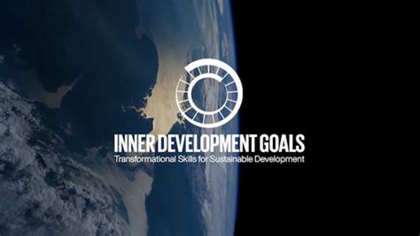 Le 5 Dimensioni Del Framework Idg